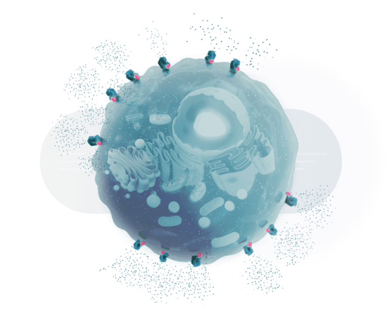 Rectifying membrane protein dysfunction | Rectify Pharma