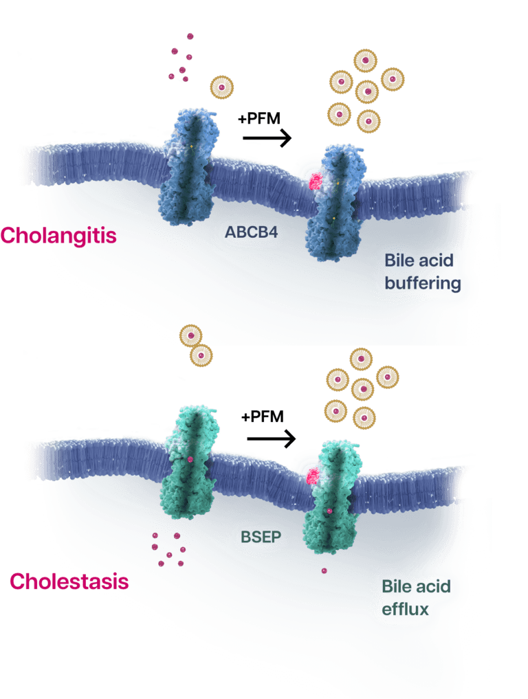 Rectifying membrane protein dysfunction | Rectify Pharma